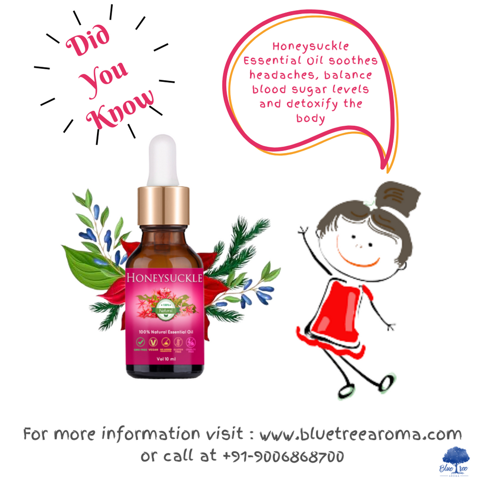 Honeysuckle Essential Oil – Blue Tree Aroma